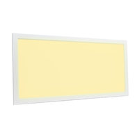 Panneaux & Dalles LED 60x30 cm